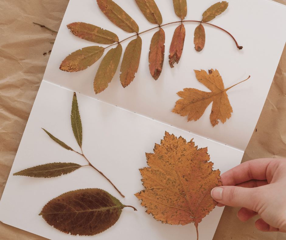 Hearts and Hands of Care | Leaf Press Journal